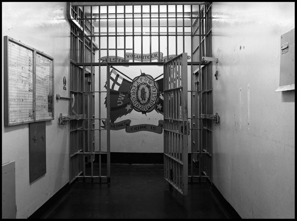 Portfolio: Dickson Mule Auction